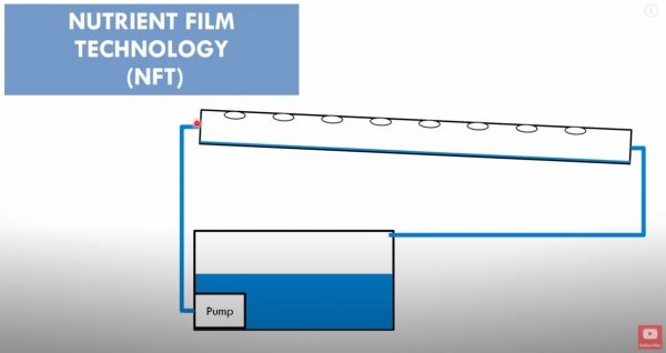 Hydroponics pump size- How to calculate pump size – Grow with Pierre